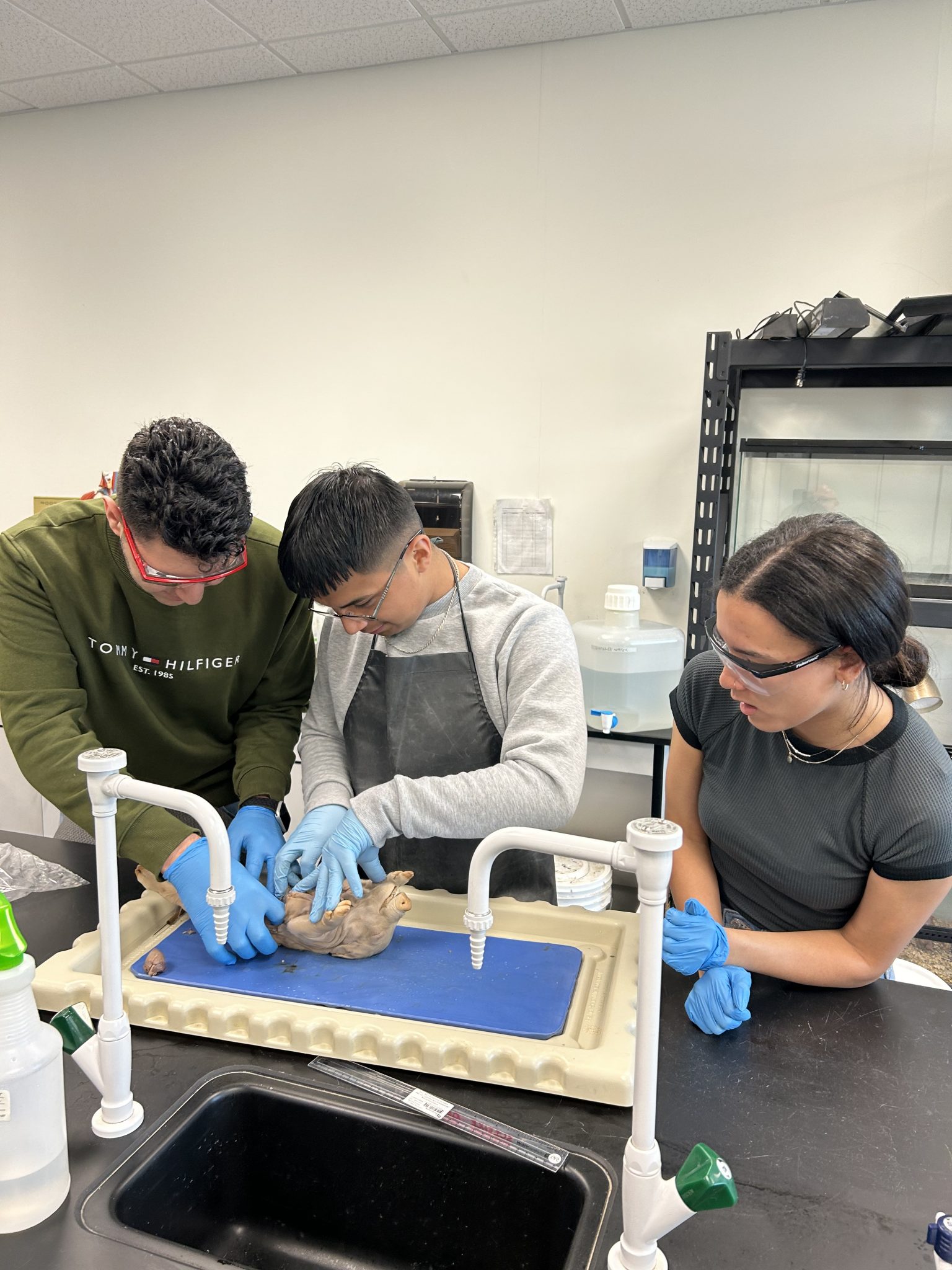 Summer/Fall Enrollment Opens at NCC